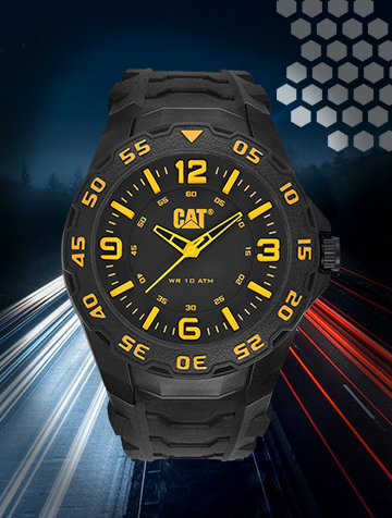 Motion - Cat Watches